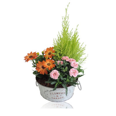 Opm RS-01012101 Zink Schaal, 21cm Pot Size, 40cm Tall, Zink Schaal ...