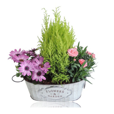 Opm RS-01012601 Zink Ovaal, 26cm Pot Size, 40cm Tall, Zink Schaal ...