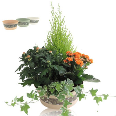 Opm RS-03002502 Zink Schaal, 25cm Pot Size, 60cm Tall, Zink Schaal ...