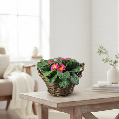 Opm Rs-052201 Mand Pot size 22 Cm Height 20 Na Indoor Houseplant