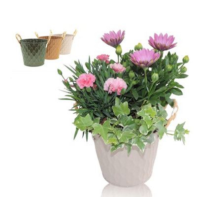 Opm RS-16011501 Zink Ovaal, 15cm Pot Size, 30cm Tall, Zink Schaal ...
