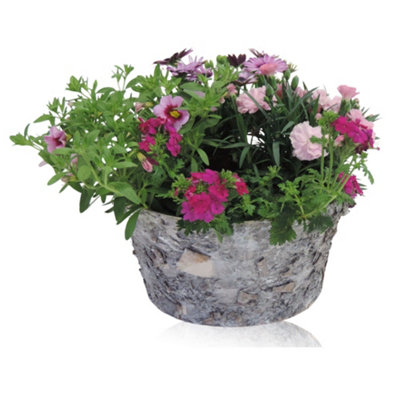Opm RS-18012501 Hout Rond, 25cm Pot Size, 35cm Tall, Hout Rond, Indoor ...