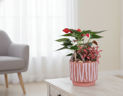Opm Yearround Arr. Indoor Ceramic Naturel Touch Pot size 14 Cm ...
