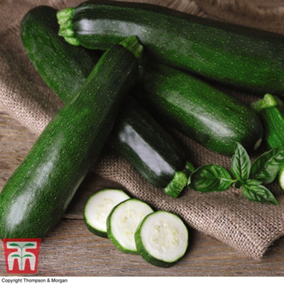 Organic Courgette Black Beauty 1 Seed Packet
