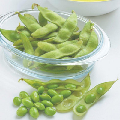 Organic Dwarf French Bean Faraday Seeds - Compact Bush Stringless ...