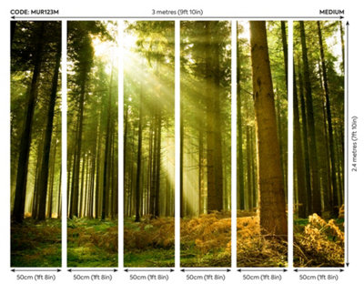 Origin Murals Sunlight Through Trees Forest Scene Matt Smooth Paste the ...