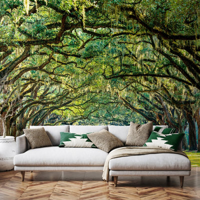 Origin Murals Tree Walk Matt Smooth Paste the Wall Mural 350cm wide x ...