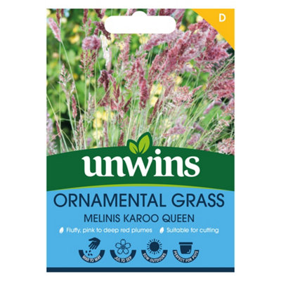 Ornamental Grass Melinis Karoo Queen