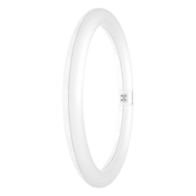 Osram 18.3w LED T9 Circular 4000k - Cool White