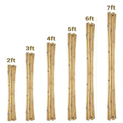 Pack of 10 Bamboo Garden Canes 3ft Plant Supports