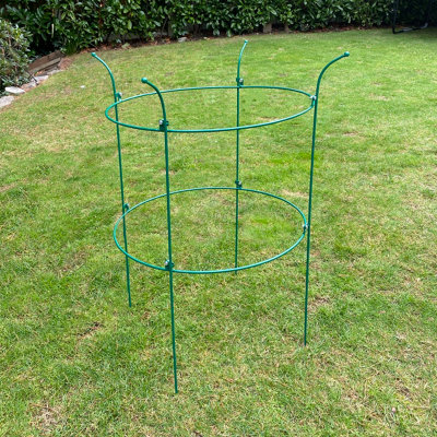 Pack of 3 Peony Circular Metal Plant Supports (64cm) | DIY at B&Q