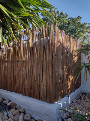 Pack of 30 Bamboo Garden Canes 2ft Plant Supports