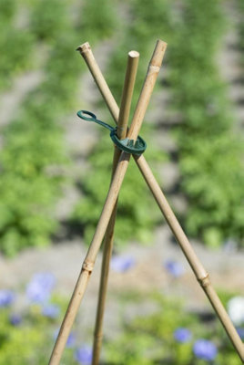 Pack of 30 Bamboo Garden Canes 2ft Plant Supports