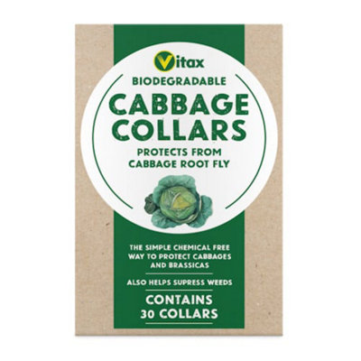 PACK OF 30 BIODEGRADEABLE CABBAGE COLLARS PROTECTS BRASSICAS FROM ...