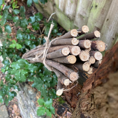 Pack of 40 Willow Pea & Bean Support Sticks (120cm)