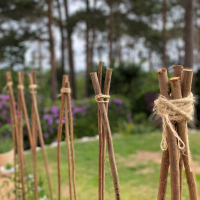 Pack of 40 Willow Pea & Bean Support Sticks (90cm)
