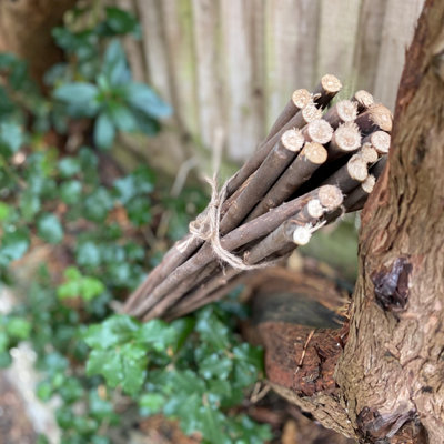 Pack of 40 Willow Pea & Bean Support Sticks (90cm)