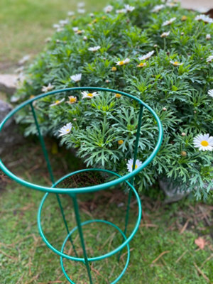 Pack of 5 Conical Garden Plant Support Rings (48cm)