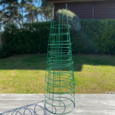 Pack of 5 Conical Garden Plant Support Rings (75cm)