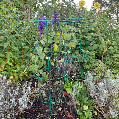 Pack of 5 Conical Garden Plant Support Rings (75cm)