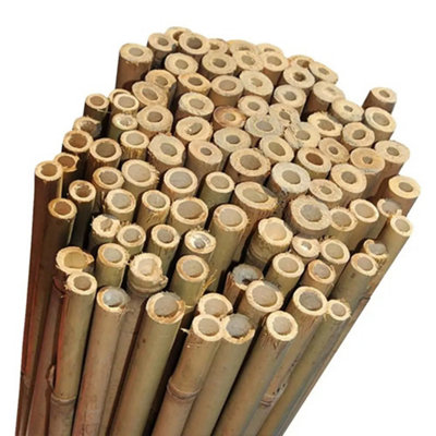 Pack of 90 Bamboo Garden Canes 2ft Plant Supports