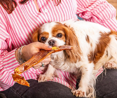 Paddy Wack "Paddy Whack" (5kg) Low Fat High Protein Natural Dog Treats