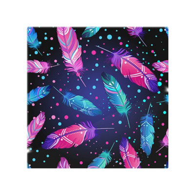 Painted Bird Feathers Splash Back designer style