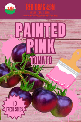Painted Pink Tomato Seeds - 10 Fresh Seeds