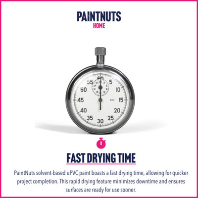 PaintNuts UPVC Door & Window Matt Paint - Ruby Red - 250ml Tin (RAL3003)