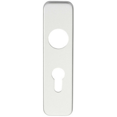 PAIR Door Handle Euro Lock Plate for Safety Levers 154 x 40mm Satin ...
