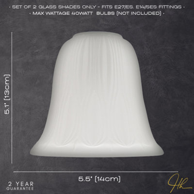 Pair of Frosted Etched Glass Shades with Traditional Shape for E14 and E27