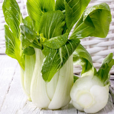 Pak Choi F1 Hanakan Organic Seeds - Fast Growing Crisp Leaves Easy Sow ...