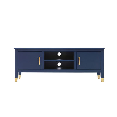 Palazzi 2 Door TV Unit Blue H45 W120 D35cm