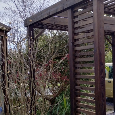 Panel Pergola - Wood - L240 x W360 cm - Rustic Brown