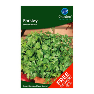 Parsley Plain Leaf (Petroselinum crispum) | DIY at B&Q