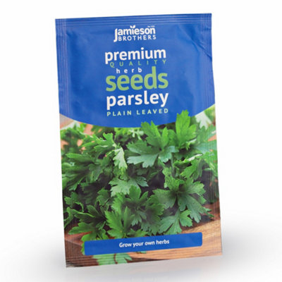 Parsley Plain Leaved Herb Seeds (Approx. 200 seeds) by Jamieson ...