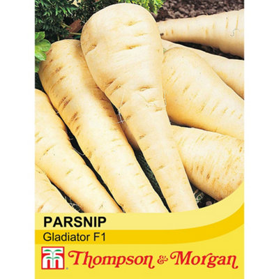 Parsnip Gladiator F1 Hybrid 1 Seed Packet (250 Seeds)