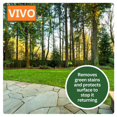 Path & Patio Cleaner Fluid Spray Wet And Walk Away Green Stain Remover ...