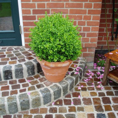 Paving Stones Direct Rompox Easy Grey Jointing Compound Grout (15kg)