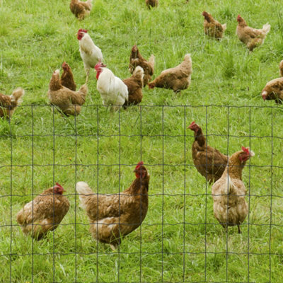 PawHut 0.6Mx10M Chicken Wire Mesh Rabbit Poultry Animal Fence PVC ...