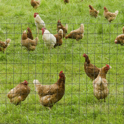 PawHut 1Mx10M Chicken Wire Mesh Rabbit Poultry Animal Fence PVC Coated ...