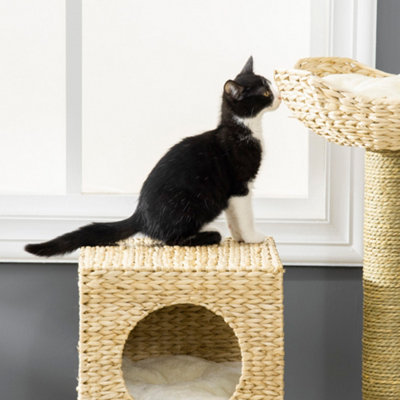 Cat tree bed store