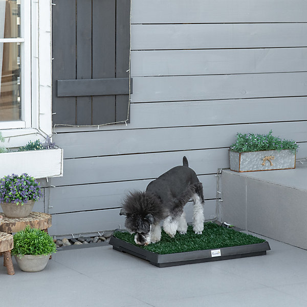 PawHut Indoor Pet Dog Toilet Mat Potty Tray Training Grass Restroom ... PawHut Indoor Pet Dog Toilet Mat Potty Tray Training Grass Restroom ...