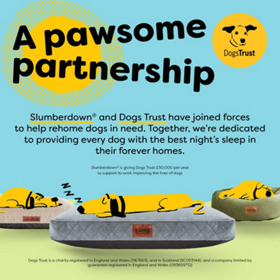 Orthopedic pet mat store