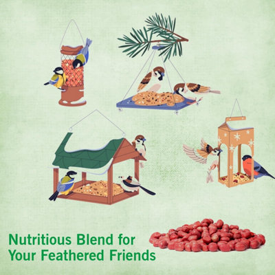 Peanuts for Wild Birds Peanut Kernels Bird Feed 20kg