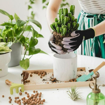 Peat Free Compost for Indoor Plants - 25 Litres - Houseplant Focus ...