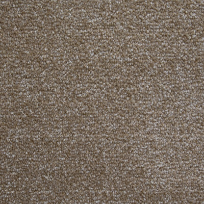 Pebble Beach Super Bleach Cleanable Felt Backed Carpet by Remland (Jet ...