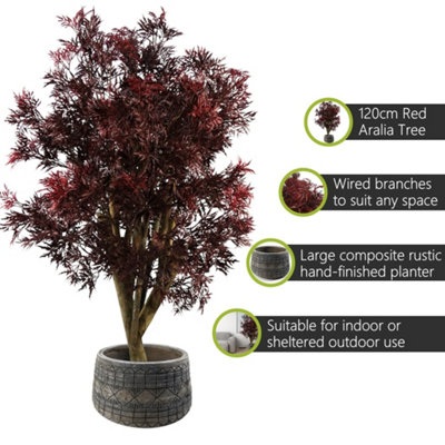 Pegdev - PDL 120cm Artificial Red Aralia Tree with Natural Trunk in ...