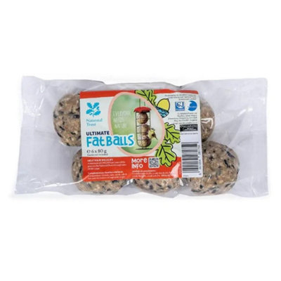 PegDev - PDL - NT Range Kids Fat Balls 6 Pack 80g - Ultimate Fat Balls ...