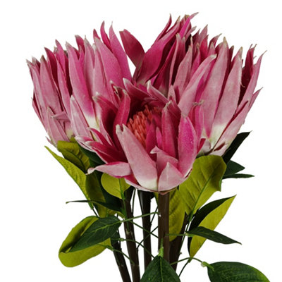 Pegdev - PDL - Pack of 6 x 65cm Artificial Protea Sugarbush Stems Pink ...